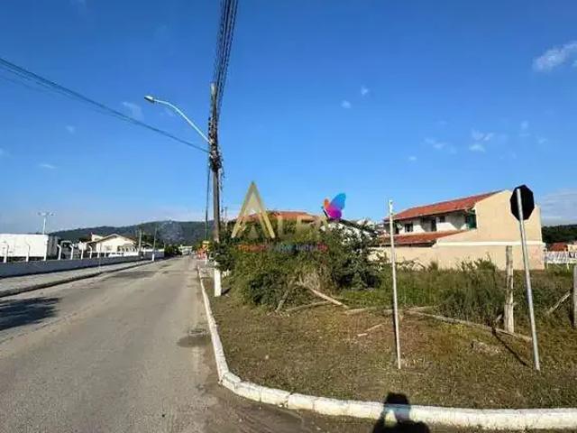 Terreno / Lote para Venda em Penha/SC Centro