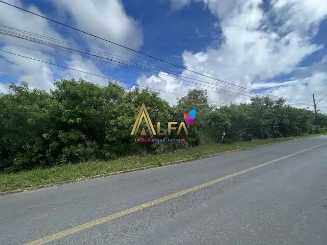 Terreno / Lote para Venda em Penha/SC Centro