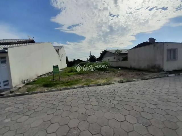 Terreno / Lote para Venda em Penha/SC Centro