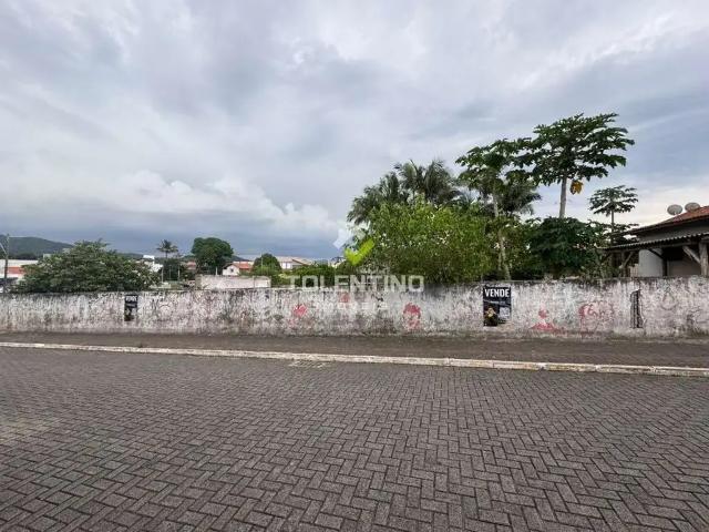 Terreno / Lote para Venda em Penha/SC Centro