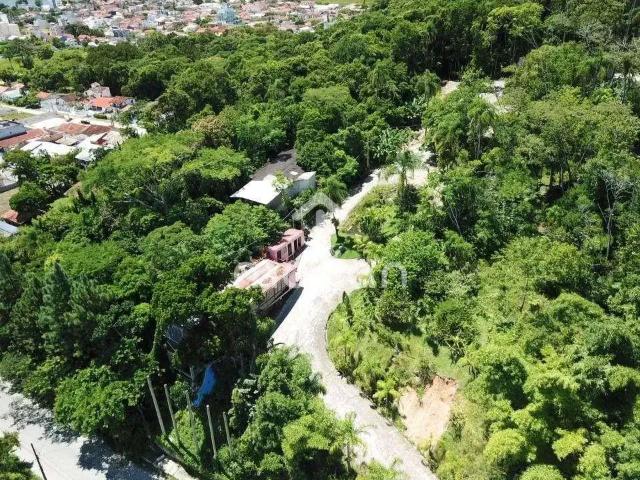 Terreno / Lote para Venda em Penha/SC Centro