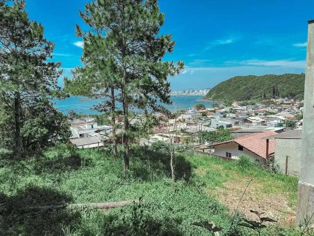 Terreno / Lote para Venda em Penha/SC Gravatá