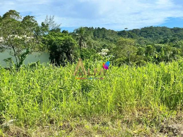 Terreno / Lote para Venda em Penha/SC Gravatá