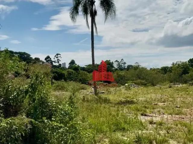 Terreno / Lote para Venda em Penha/SC Praia de Armação do Itapocorói