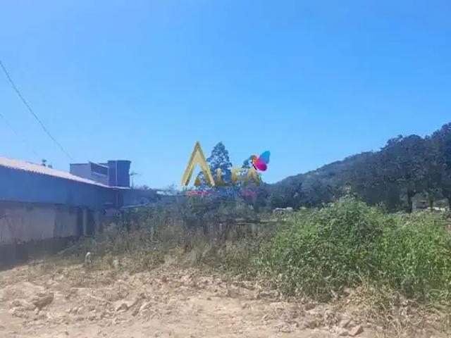 Terreno / Lote para Venda em Penha/SC Santa Lídia