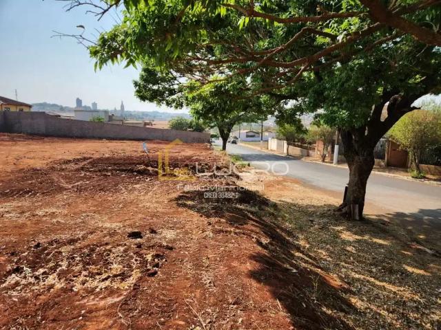 Terreno / Lote para Venda em Pederneiras/SP Centro