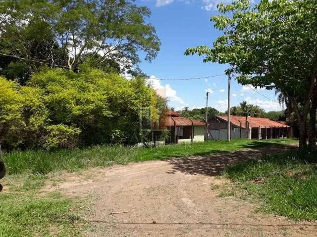 Terreno / Lote para Venda em Pederneiras/SP Jardim Recreio Lago dos Paturis