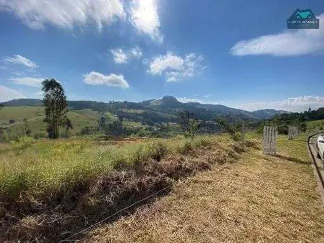 Terreno / Lote para Venda em Pedra Bela/SP Centro