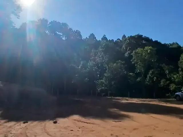 Terreno / Lote para Venda em Pedra Bela/SP Bairro dos Mirandas