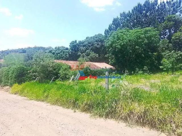 Terreno / Lote para Venda em Pedra Bela/SP Pitangueiras
