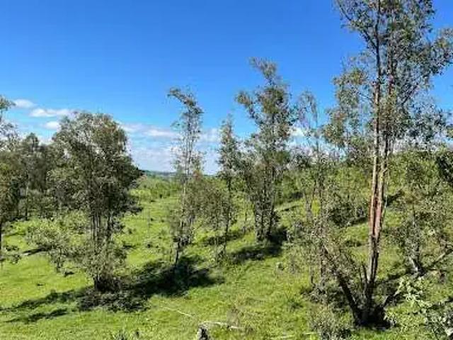 Terreno / Lote para Venda em Pedreira/SP Centro