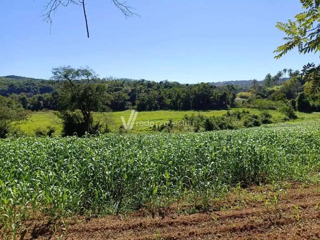 Terreno / Lote para Venda em Pedreira/SP Zona Rural