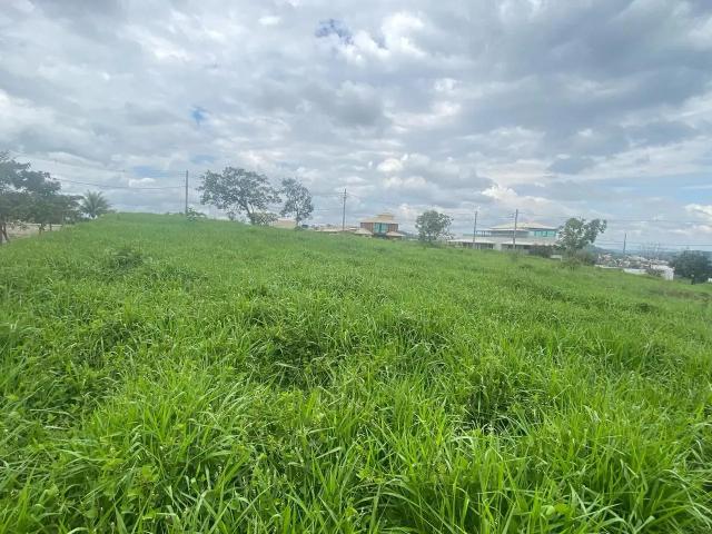 Terreno / Lote para Venda em Pedro Leopoldo/MG Centro