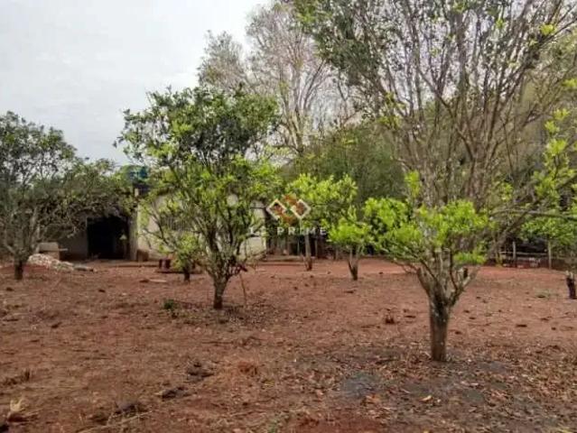Terreno / Lote para Venda em Pedro Leopoldo/MG Quinta do Sumidouro