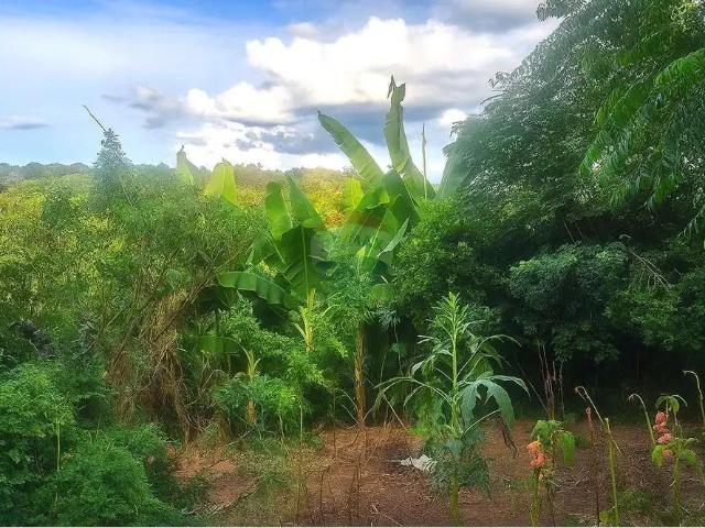 Terreno / Lote para Venda em Pedro Leopoldo/MG Zona Rural