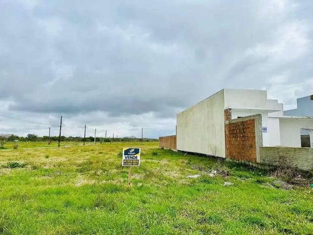 Terreno / Lote para Venda em Pelotas/RS Centro