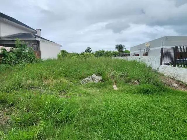 Terreno / Lote para Venda em Pelotas/RS Areal