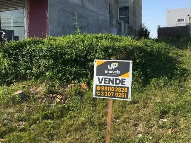 Terreno / Lote para Venda em Pelotas/RS Areal