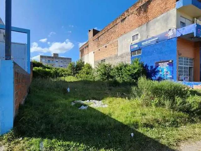 Terreno / Lote para Venda em Pelotas/RS Areal