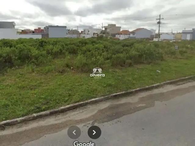 Terreno / Lote para Venda em Pelotas/RS Areal