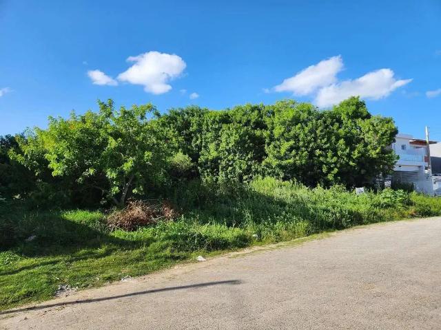 Terreno / Lote para Venda em Pelotas/RS Areal
