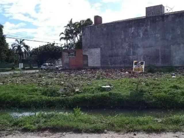 Terreno / Lote para Venda em Pelotas/RS Areal