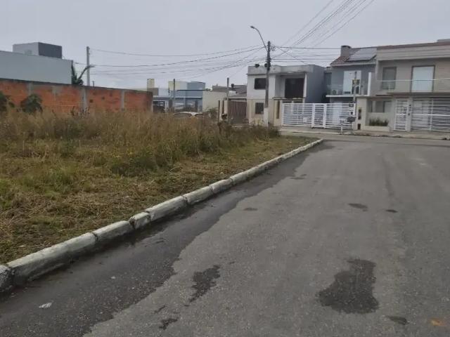 Terreno / Lote para Venda em Pelotas/RS Areal