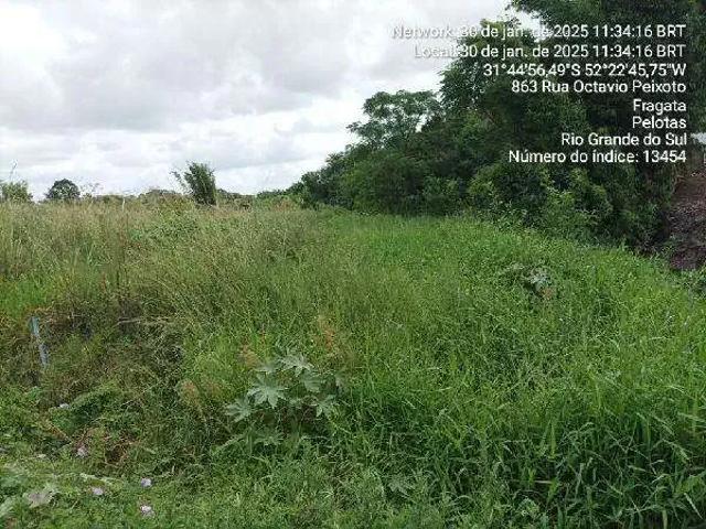 Terreno / Lote para Venda em Pelotas/RS Fragata