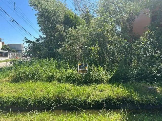 Terreno / Lote para Venda em Pelotas/RS Laranjal