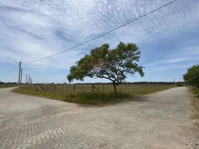 Terreno / Lote para Venda em Pelotas/RS Laranjal