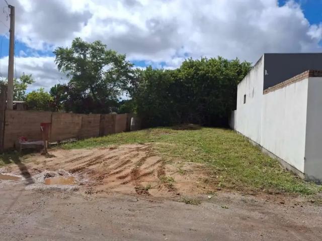 Terreno / Lote para Venda em Pelotas/RS Laranjal