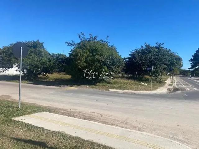 Terreno / Lote para Venda em Pelotas/RS Laranjal