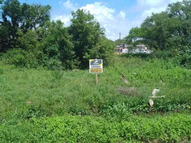 Terreno / Lote para Venda em Pelotas/RS Laranjal
