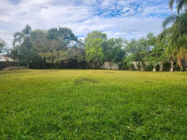 Terreno / Lote para Venda em Pelotas/RS Laranjal
