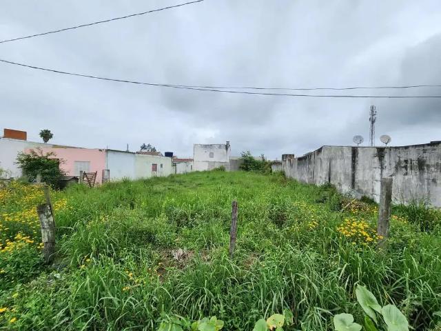 Terreno / Lote para Venda em Pelotas/RS Três Vendas