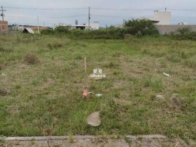 Terreno / Lote para Venda em Pelotas/RS Três Vendas