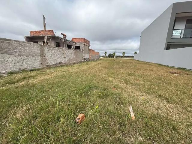 Terreno / Lote para Venda em Pelotas/RS Três Vendas