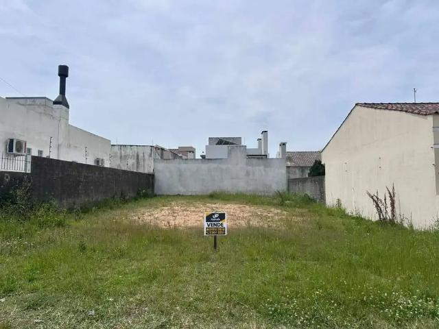 Terreno / Lote para Venda em Pelotas/RS Três Vendas