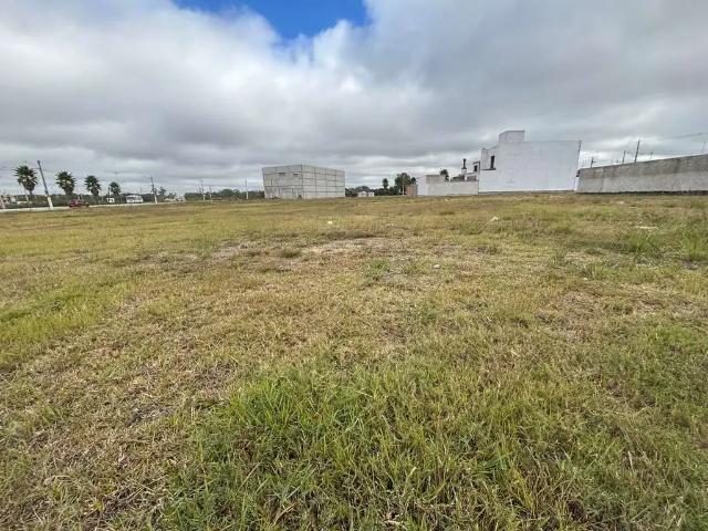 Terreno / Lote para Venda em Pelotas/RS Três Vendas