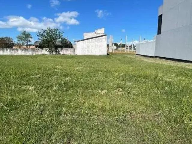 Terreno / Lote para Venda em Pelotas/RS Três Vendas