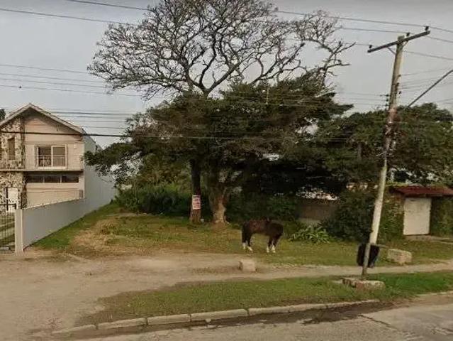 Terreno / Lote para Venda em Pelotas/RS Três Vendas