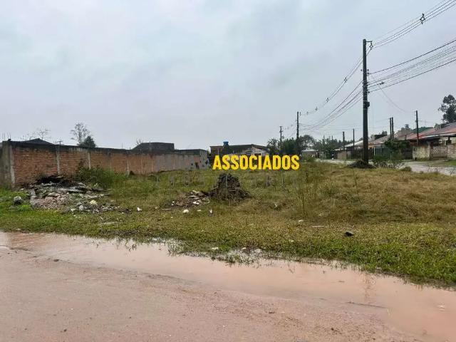Terreno / Lote para Venda em Pelotas/RS Três Vendas