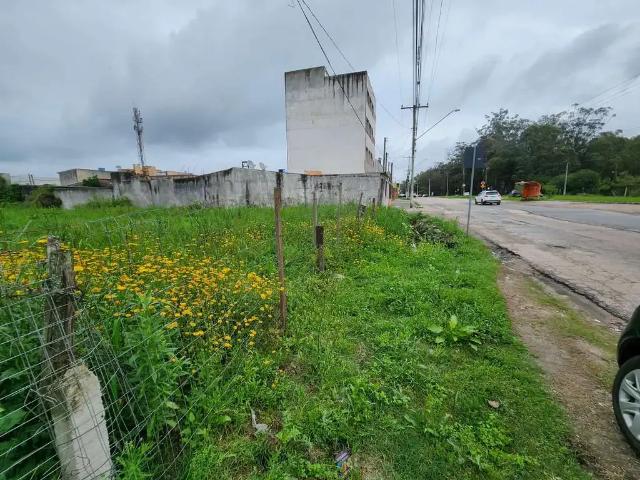 Terreno / Lote para Venda em Pelotas/RS Três Vendas