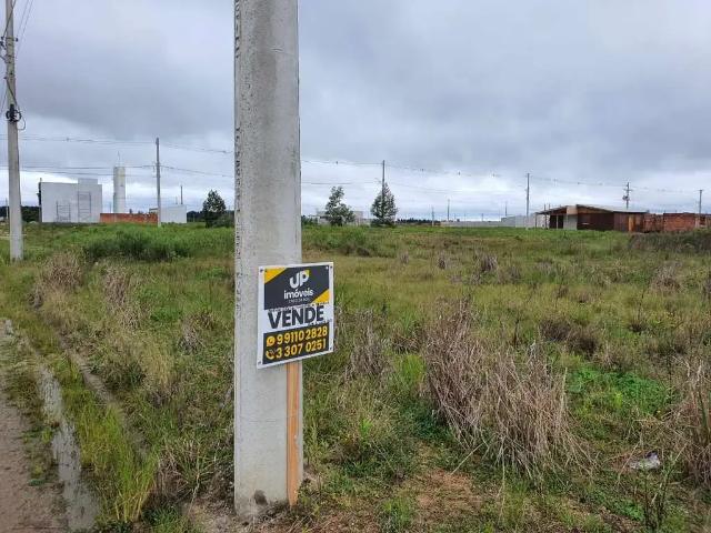 Terreno / Lote para Venda em Pelotas/RS Três Vendas
