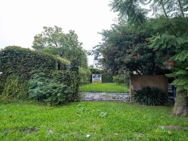 Terreno / Lote para Venda em Pelotas/RS Três Vendas