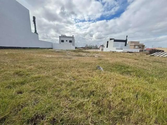Terreno / Lote para Venda em Pelotas/RS Três Vendas