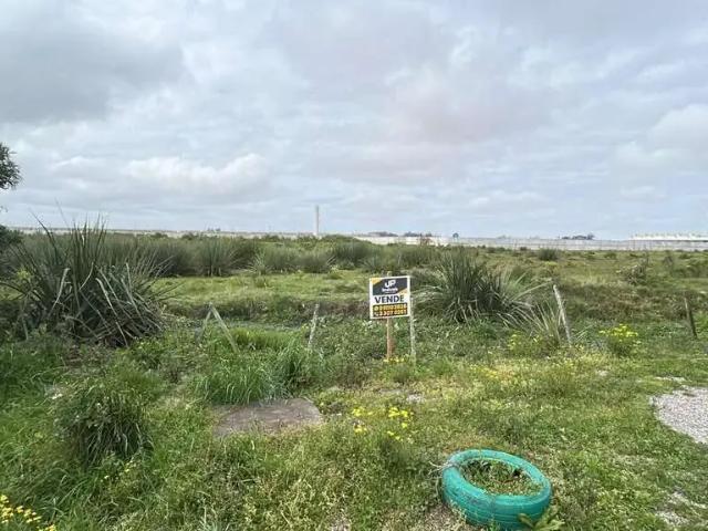 Terreno / Lote para Venda em Pelotas/RS Três Vendas