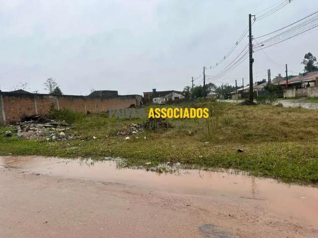 Terreno / Lote para Venda em Pelotas/RS Três Vendas