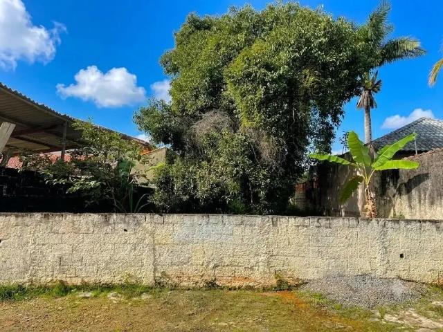 Terreno / Lote para Venda em Peruíbe/SP Centro