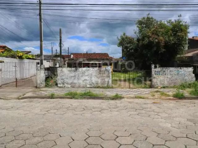 Terreno / Lote para Venda em Peruíbe/SP Centro